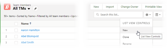 Creating a new view (Salesforce Lightning Experience)
